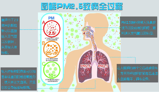 17省遭十面霾伏雾事生非 图解PM2.5危害 揭生存指南 - 青岛新闻网